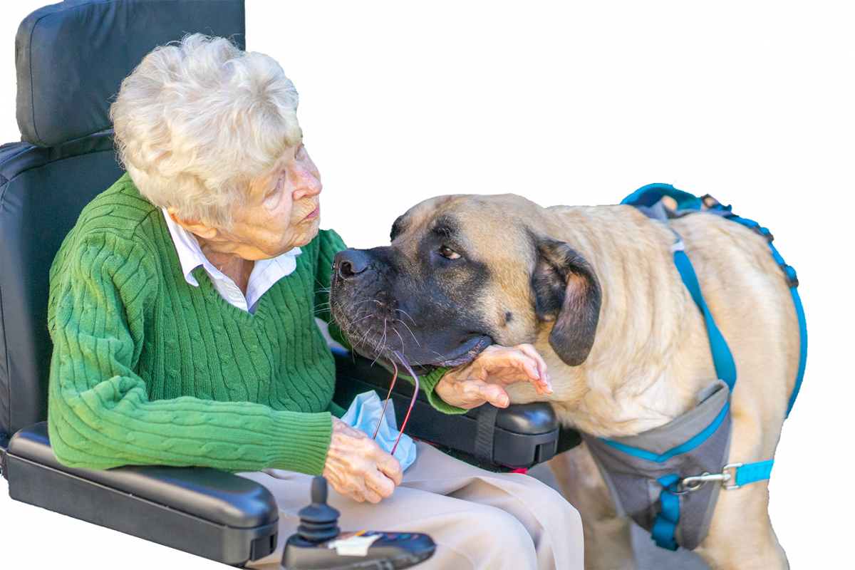 Transforming Age | Senior Housing, Community Services, Philanthropy ...